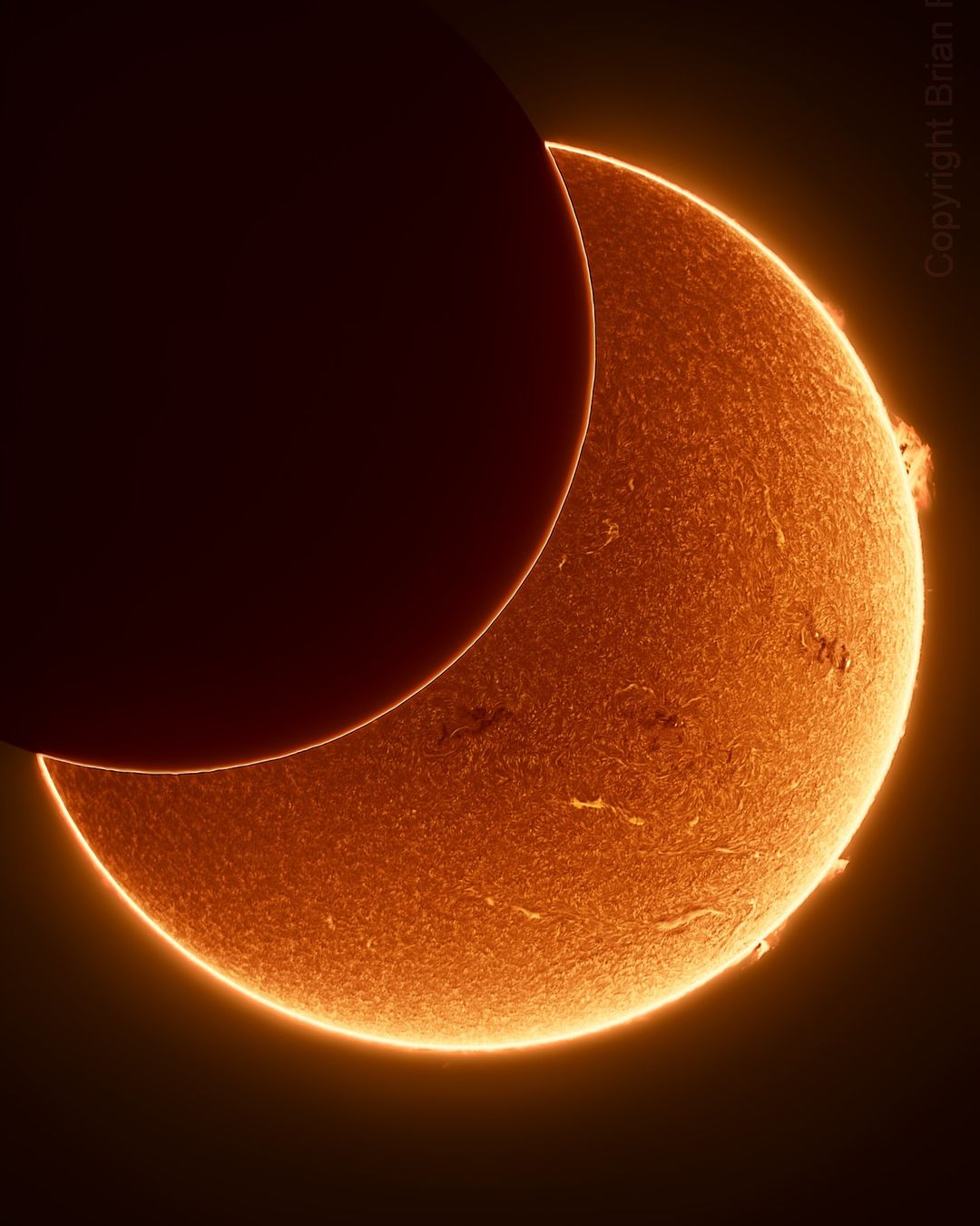 Sun Sign Vs Moon Sign: What are they and their Difference? – Daily ...